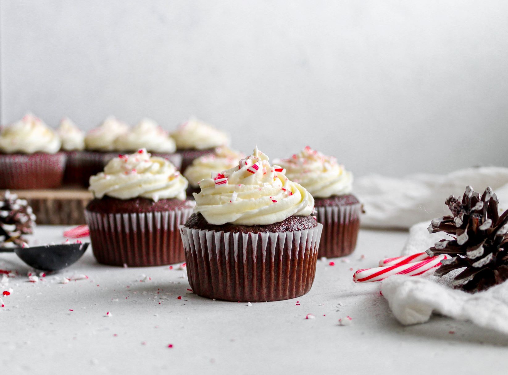 Chocolate Peppermint Cupcakes - Tasty Treat Pantry